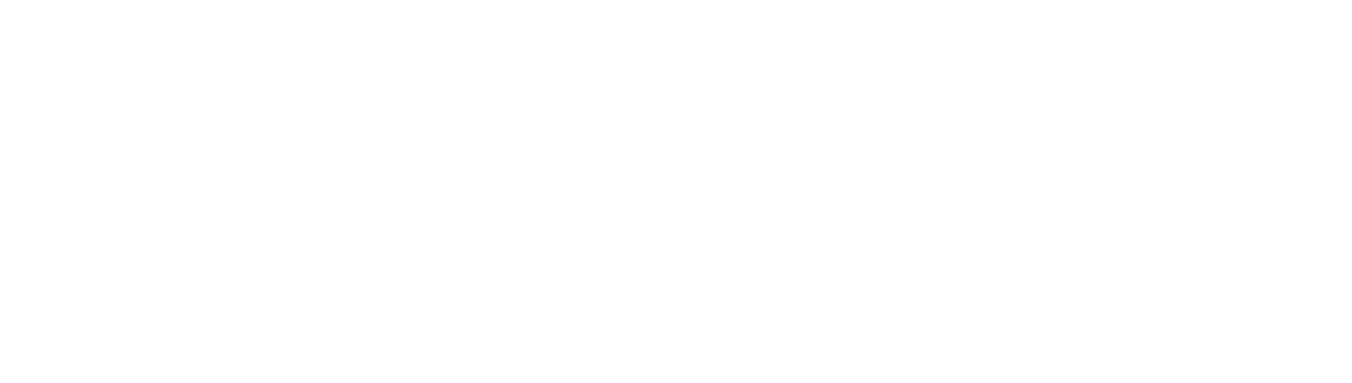 Frizzi Arnold | Digital Marketing Management in Chemnitz